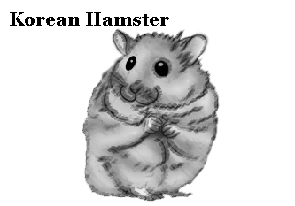 Por favor vote em hamster em 2020. Hamster for Presidente. Todos devem ...